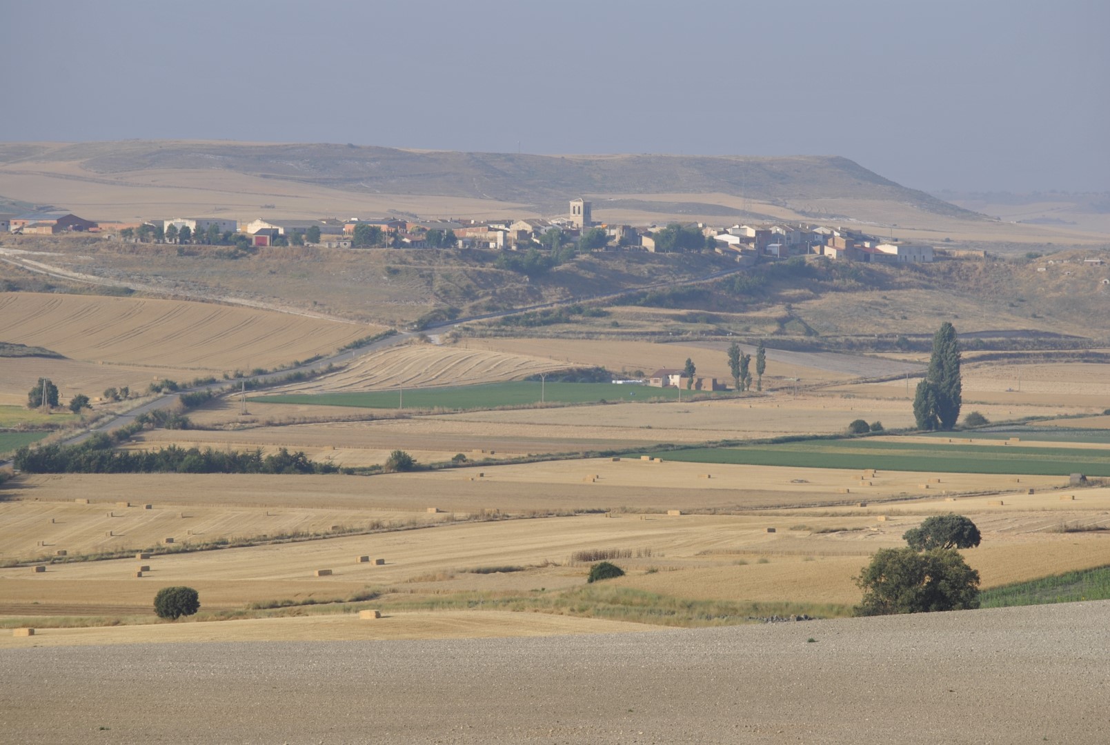 Ruta 1. LA PUERTA DEL CERRATO | Cerrato Palentino