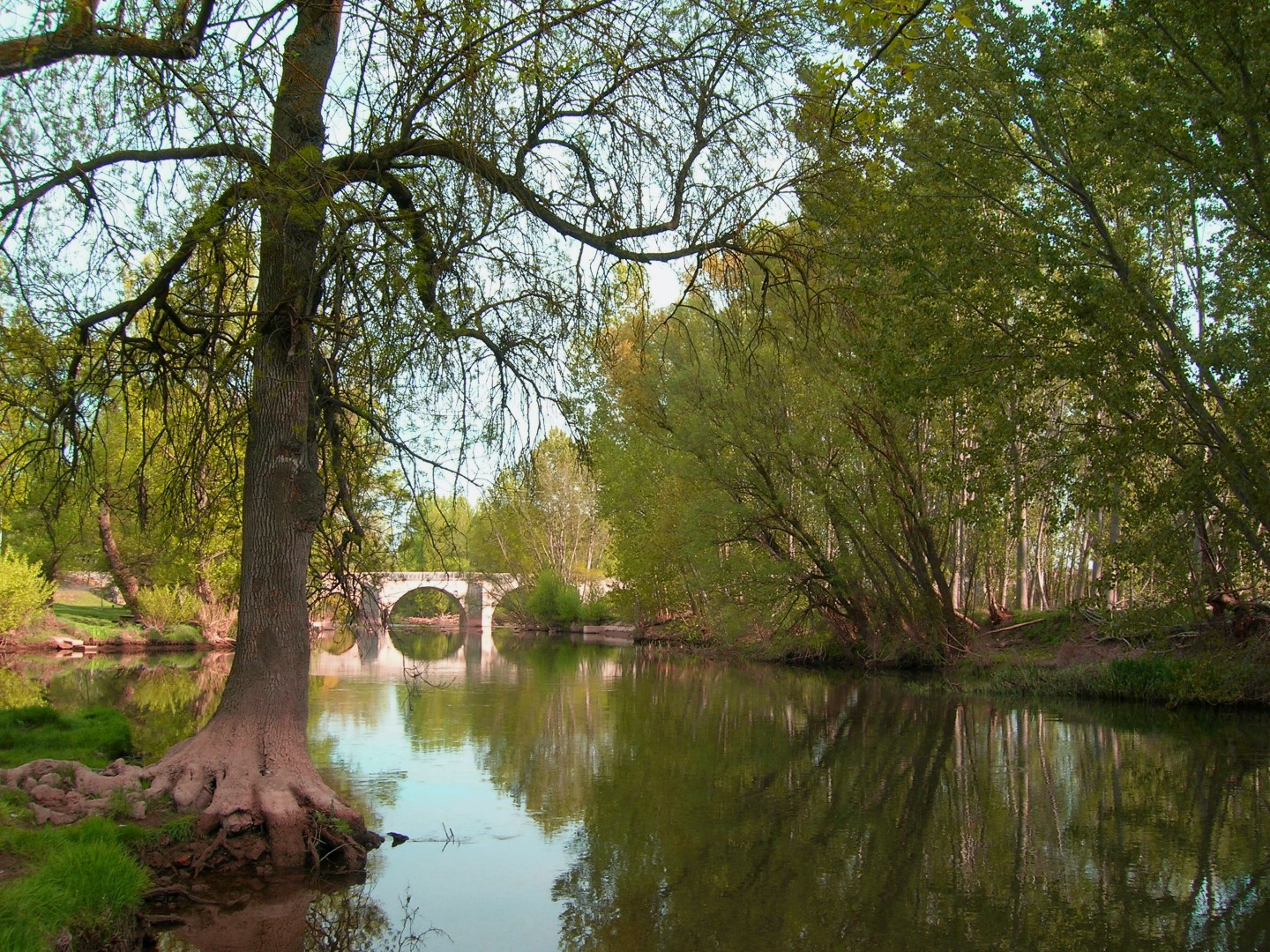 Ruta 1. LA PUERTA DEL CERRATO | Cerrato Palentino