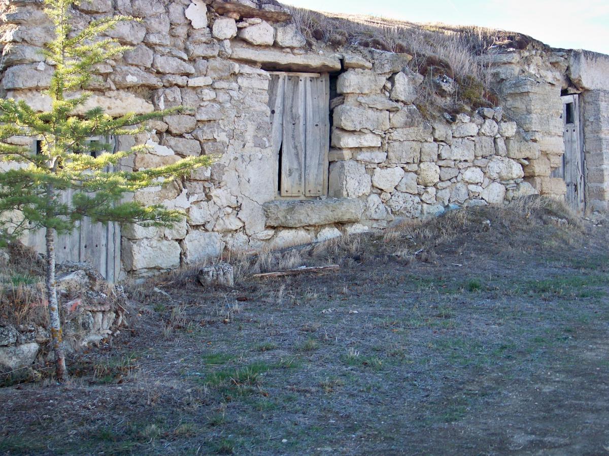 ALBA DE CERRATO | Cerrato Palentino