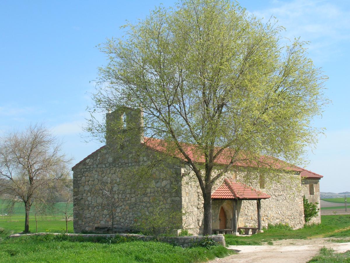 POBLACIÓN DE CERRATO | Cerrato Palentino